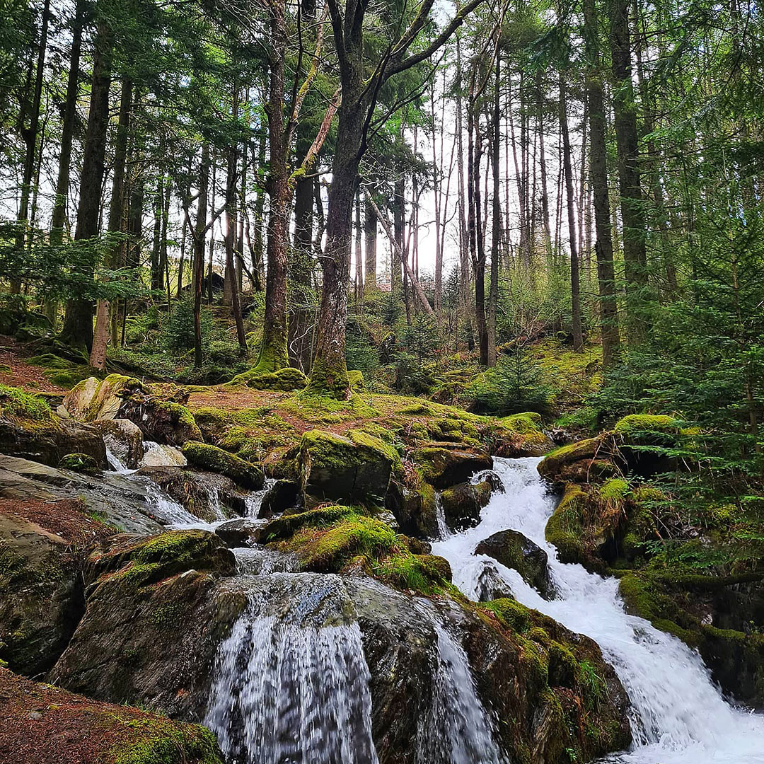 Travel Guide - Metropole Hotel & Spa - Classic British Hotels